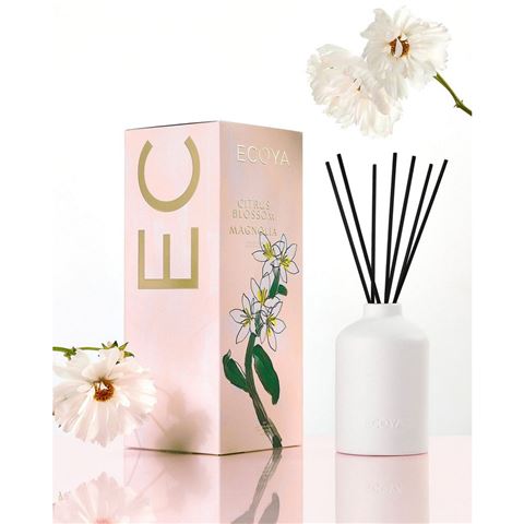 Peter's of Kensington | Homewares, Kitchenware, Cookware, Luggage & More