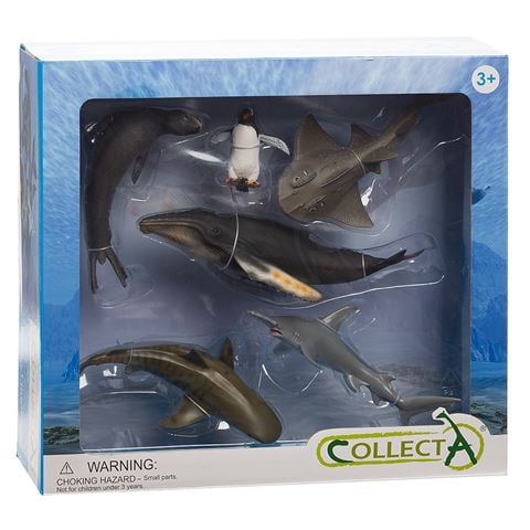 CollectA - Sea Life Gift Set 6pce | Peter's of Kensington