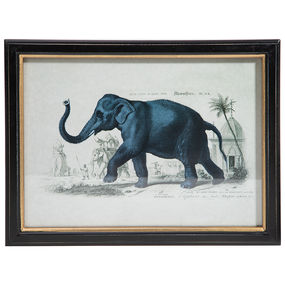 Luxe By Peter's - Safari Animal Print Frame Elephant | Peter's of ...