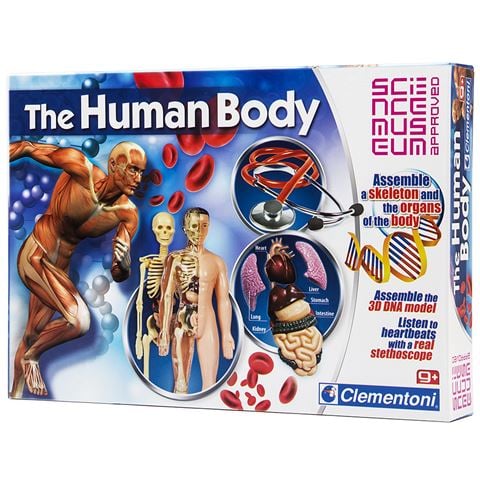 Clementoni - The Human Body Kit | Peter's of Kensington